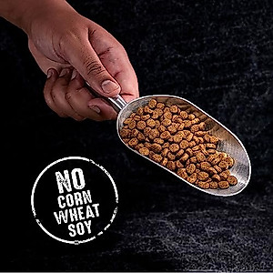 CRAVE Grain Free High Protein Adult Dry Dog Food, Beef, 4 lb. Bag