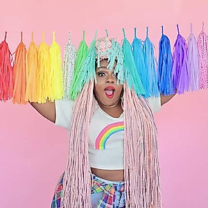 Binpeng 14in 21pcs Rainbow Paper Tassel DIY Hanging paper decorations Party Garland Decor for Party Decorations Wedding,Festival,Baby Shower Decoration 21PCS (Rainbow Tassels 7 Colors 21 PCS)