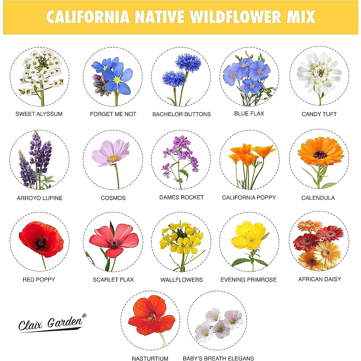 California Wildflower Mix - 5,000 Seeds - 17 Varieties - No Fillers, Open Pollinated and Non GMO, Perennial and Annual Garden Flowers, Attracts Bees and Butterflies