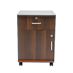 1-Drawer File Cabinet, Home Printer Stands, Office Vertical Files, Mobile File Cabinet,Metal File Cabinets with Lock,Vertical Filing Organization Storage Cabinets,Rolling Printer Stand with Cabinet