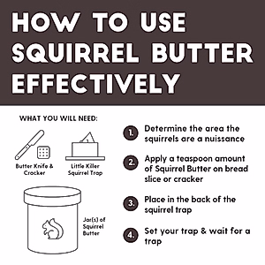 Squirrel Butter Paste Bait 8 Ounce | Irresistible Sweet Scented & Highly Attractive Lure for Red & Grey Squirrels Chipmunks | Good All Season Long
