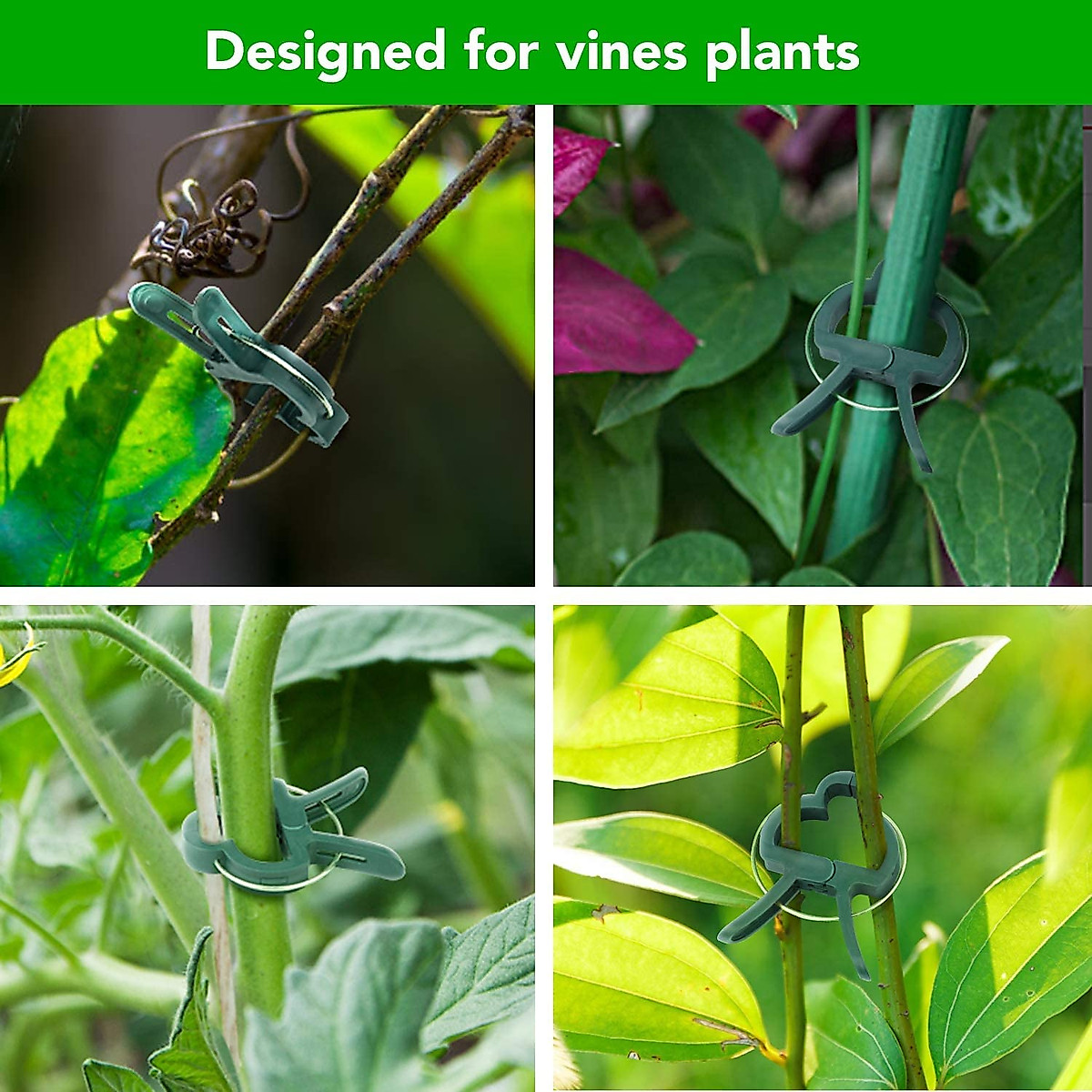 iPower 40 Pcs Plant Clips, Reusable Plant Support Stake Clips for Flower Vine Tomato Peony, Garden Clips for Supporting or Straightening Plant Stems, Stalks, Green