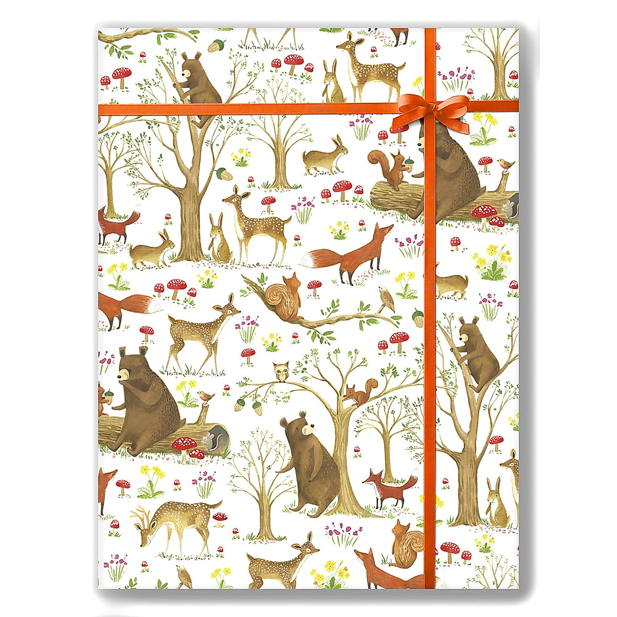 Colors of Rainbow Flat Sheet Wrapping Paper Featuring Enchanted Fairytale Forest with Animal Friends Squirrels Foxes Rabbits And Bears Gift Wrap (Fairytale Forest)