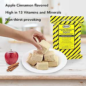 Ready America The Survival Box, 1-Person, 3-Day Emergency Kit Includes 5 Year Emergency Food, Water, Emergency Blanket Portable Disaster Preparedness Go-Bag for Earthquake, Fire, Flood, Hurricane