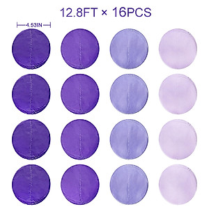 205Ft Lavender Party Decoration Ombre Purple Polka Dot Backdrop Streamer Tissue Paper Circle Dot Hanging Garland for Birthday Bachelorette Wedding Bridal Shower Engagement Lilac Violet Party Supplies