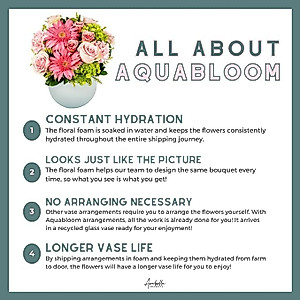 Delivery by Thu 11th July | | Everlasting Fling | Pink, Orange Aquabloom Fresh Flower Bouquet with Vase | Arabella Bouquets | Flowers for Delivery Graduation, Birthday, Congratulations