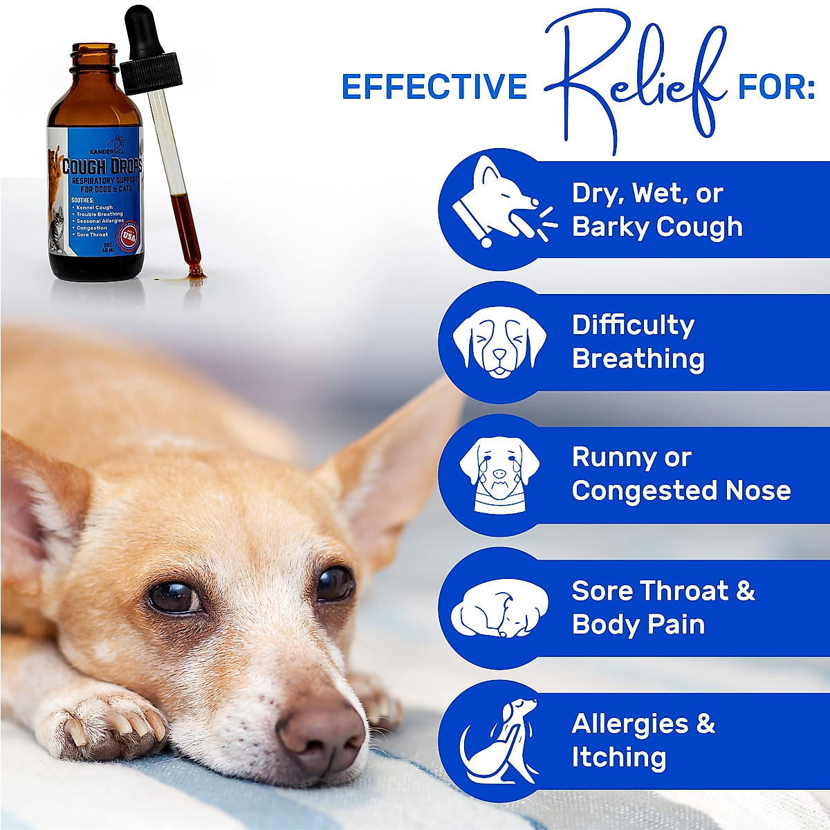 Dog Cough Treatment - Kennel Cough Treatment - Dog Allergy Relief - Itch Relief - Wet & Dry Cough Suppressant - for Dogs & Cats - XanderPets USA 1200 Drops