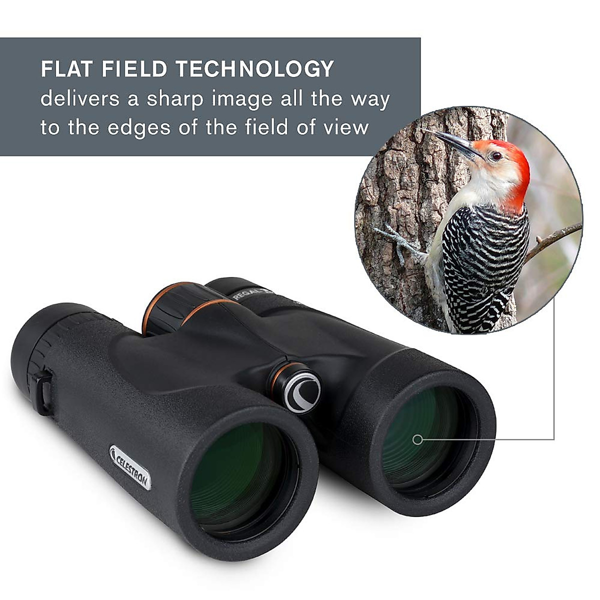 Celestron – Regal ED 10x42 Binocular – ED Binoculars for Hunting, Birding and Outdoor Actvities – Phase and Dielectric Coated BaK-4 Prisms – Fully Multi-Coated Optics – 6.5 Feet Close Focus