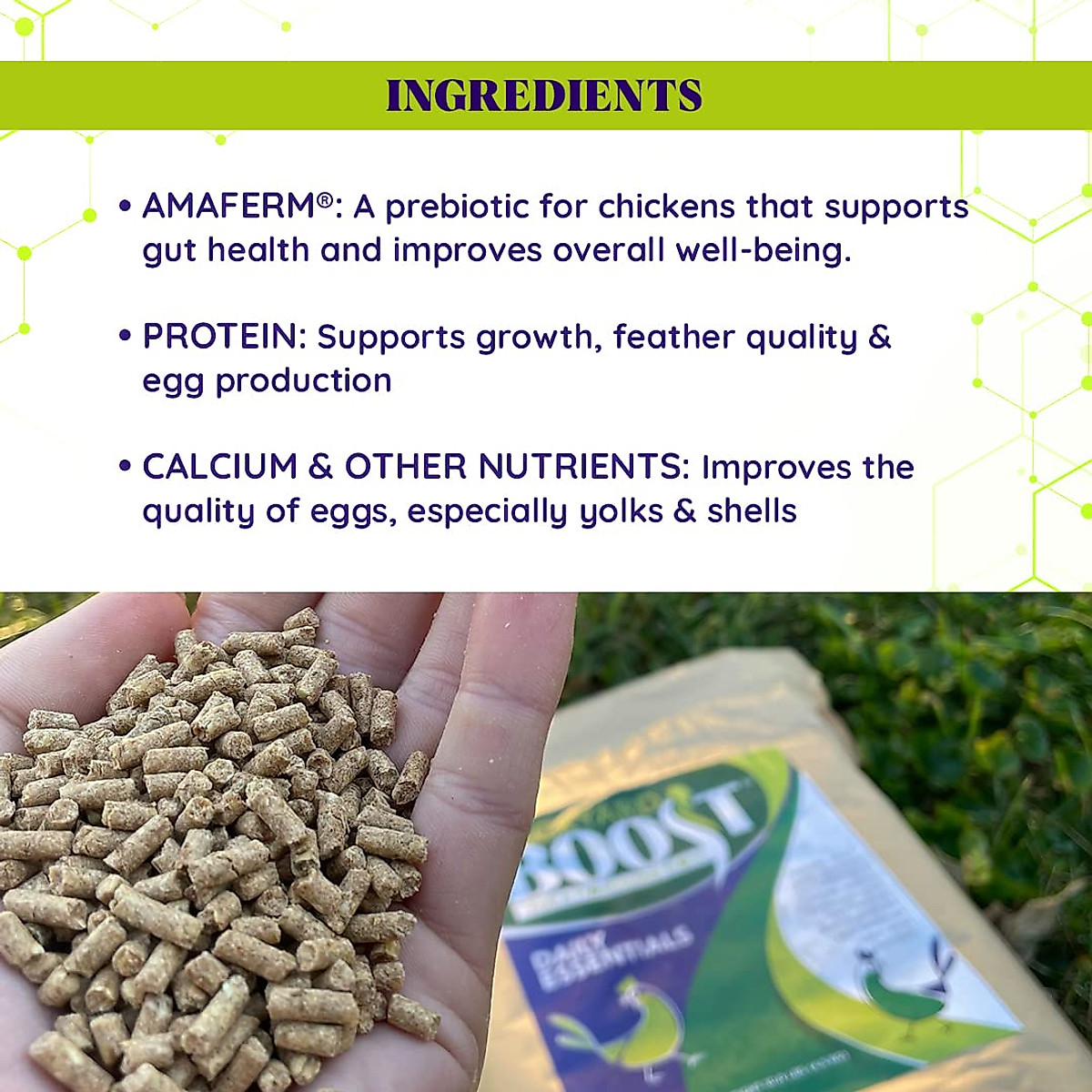 Backyard Boost Daily Essentials Chicken Feed | Palleted High Protein Food for Laying Hens | 2.5 Pound Bag