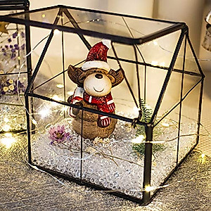 Ferrisland Glass Plant Terrarium Container Wardian Case Indoor Small Succulent Terrarium Planter w/Door for Tabletop Decor DIY Gift - 5.0"x4.3"x4.3"