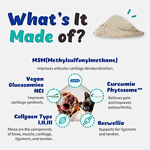 Branvine Joint Guardian for Cats and Dogs - Supports Joint, Muscle and Ligament (220.5g) with OptiMSM®, Curcuvet®, Collagen I,II,III (Joint)