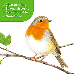 DECOWALL SG-2111 Birds on Tree Branch Wall Decals Flying Bird Green Leaves Stickers Removable for Kids Nursery Bedroom Living Background Room Home Decor Art DIY