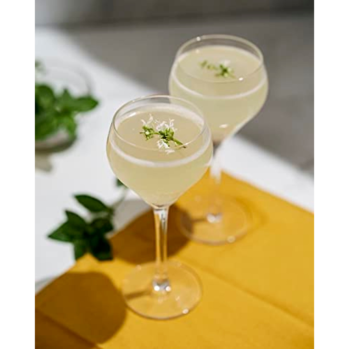 Amehla x The Educated Barfly Collection Coupe Glass Handblown Teardrop Nick and Nora Cocktail Glass - 6-ounce, Set of 2 Martini Glasses for Up Cocktails (Plain)