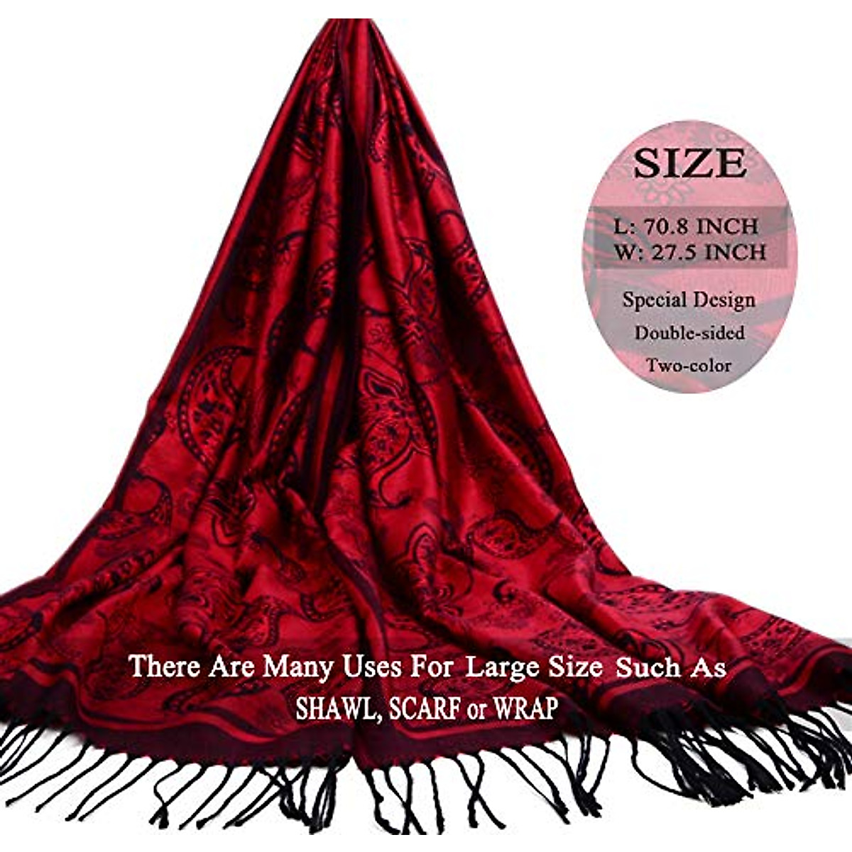 Iristide Women's Pashmina Shawl Paisley Pattern Scarf Tassels Wrap Colorful Ethnic (2005-Red &Black)