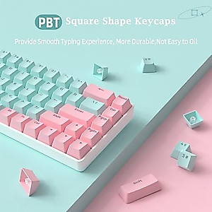 117 Key Custom PBT Keycap Set Double Shot OEM Profile for 61/68/87/98/100/104Key Compact 60% and Full Size GMMK Cherry MX Gateron Kailh Cross Type Switch US Layout Mechanical Keyboard DIY(Pink Blue)