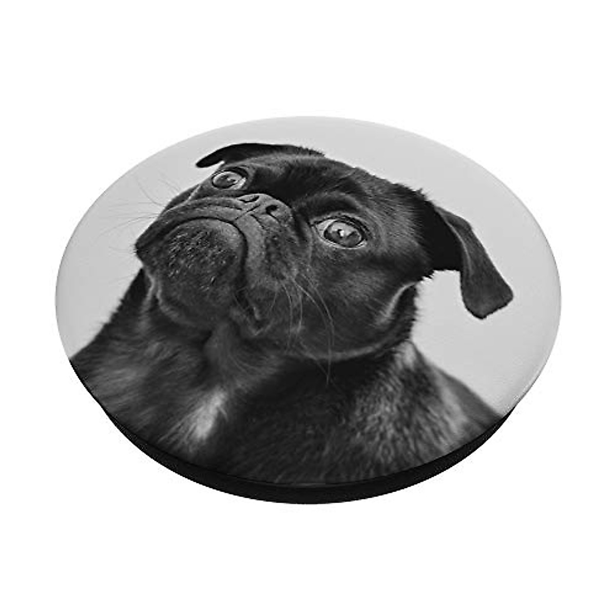 Black Pug Cute Dog Portrait Image Dogs Photo Funny Pugs Gift PopSockets PopGrip: Swappable Grip for Phones & Tablets
