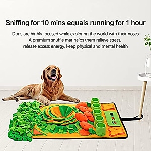 ZMUBB Pet Snuffle Mat for Dogs Sniff Mat Nosework Feeding Mat Slow Feeder Interactive Dog Puzzle Toys for Training and Stress Relief Encourages Natural Foraging Skills (31''x19'')