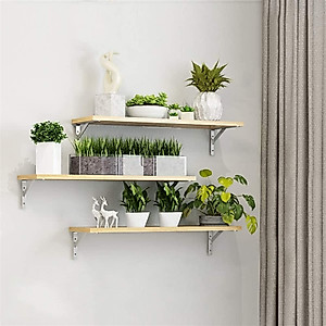 HAENJA Stainless Steel Triangle Bracket Wall Mount Shelf Separator Support Layer Support Bracket Bracket Fixing(6 Pcs) Storage