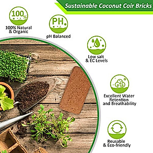 Riare 6pcs Organic Coco Coir Bricks Soil Blocks- 100% Natural Compressed Coco Peat Brick Coconut Fiber Substrate with Low EC& pH Balance, High Expansion Coco Coir Pith Coconut Husk for Garden