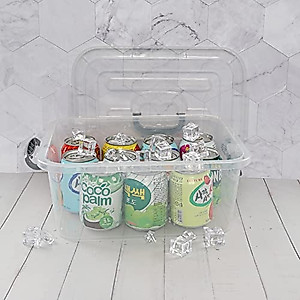 Fiazony 8 L Plastic Clear Storage Box, 2-Pack Storage Latch Box with Lid