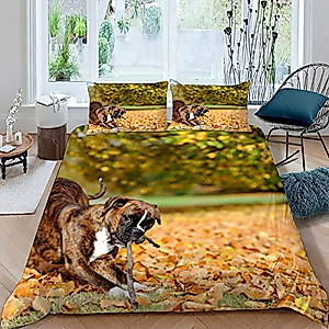 Quilt Cover Queen Size Boxer Dog 3D Bedding Sets Autumn Leaves Duvet Cover Breathable Hypoallergenic Stain Wrinkle Resistant Microfiber with Zipper Closure,beding Set with 2 Pillowcase