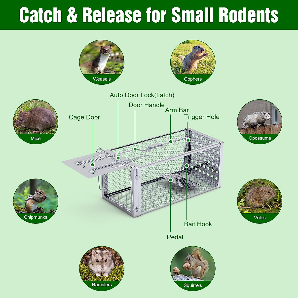 Zorpupoa Humane Rat Trap, Humane Live Animal Mouse Cage Traps, Small Rodent Chipmunk Squirrel Trap and Other Live Animal Trap Cage for Indoor and Outdoor Use