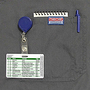 Cranial Nerve Exam Horizontal Badge Card (1 Card)