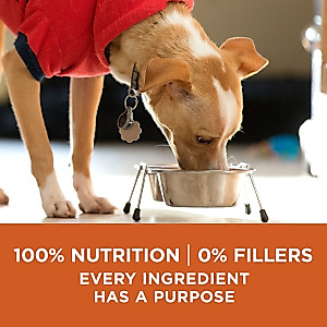 Purina ONE Plus Healthy Weight High-Protein Dog Food Dry Formula - 16.5 lb. Bag