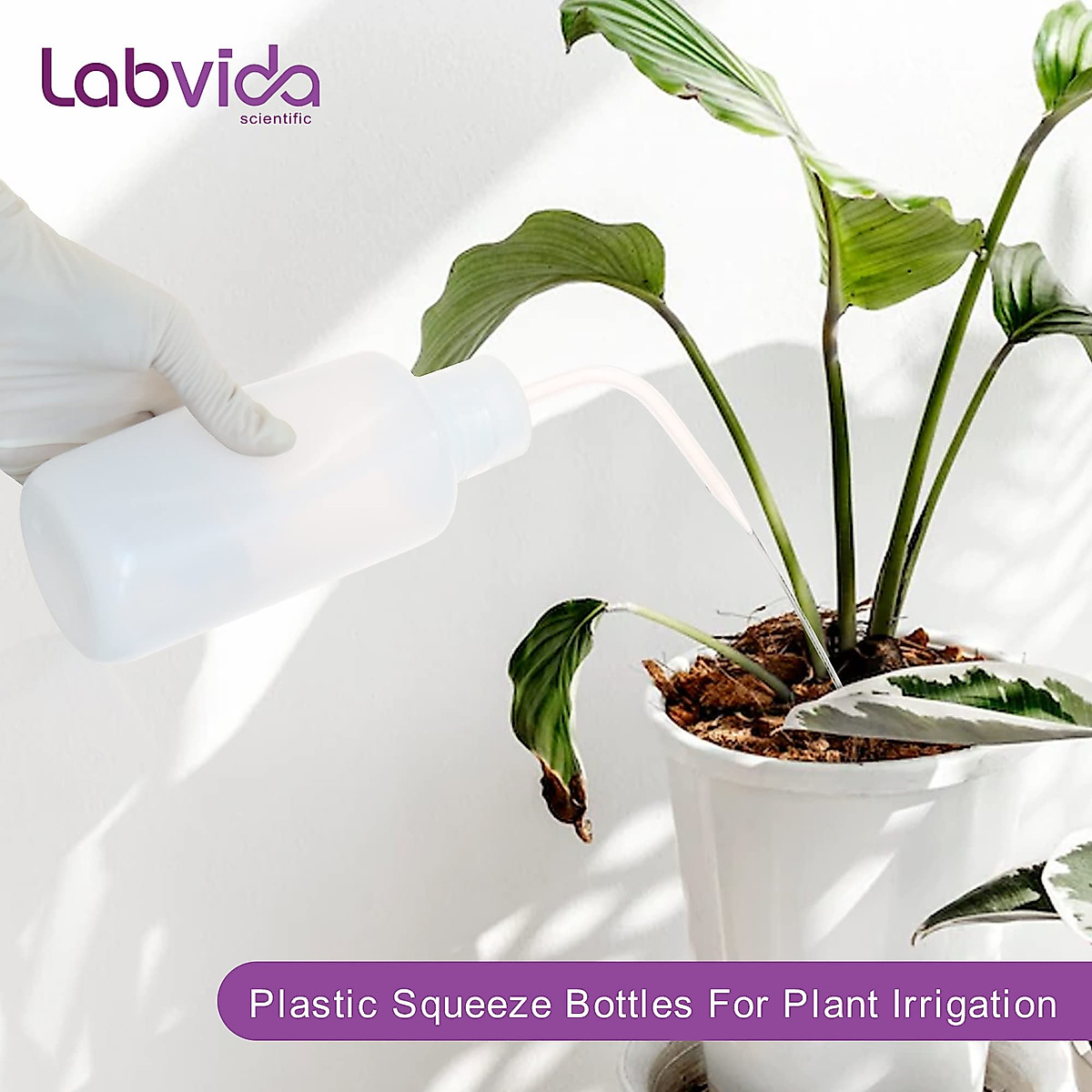 Labvida New Released Thick Wall 250ml Squeeze Bottle Set 2pcs- Laboratory Grade Durable Wash Bottles for Precision Liquid Dispensing and Tattoo Cleaning