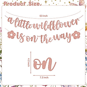 Cocomigo Wildflower Baby Shower Decorations Banner Hanging Swirls, 17pcs Floral Baby Shower Decorations for A Little Wildflower is on Her Way Baby Shower, Flower Baby Shower Decorations Rose Gold