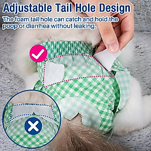 Pet Soft Disposable Cat Diapers - Diapers for Female & Male Cats, Puppy Doggie Diapers for Female Dogs with Adjustable Foam Tail Hole, Medium (24Pcs, Green)