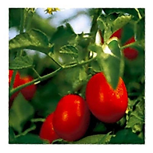 Stanislaus, Full Red Extra Heavy Tomato Puree (Pack of 2), Chicago-style Pizza & Passato-Style Sauces, Size #10 Can (6 lb, 6 oz) 102 oz (each) + Includes-Free Basil Leaves from Rhino Fine Foods.071oz