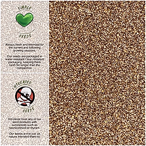 Seed Needs, Wild Bergamot Bee Balm Seeds for Planting (Monarda fistulosa) Heirloom & Open Pollinated, Attracts Honeybees, Bumblebees & Butterflies (2 Pack)