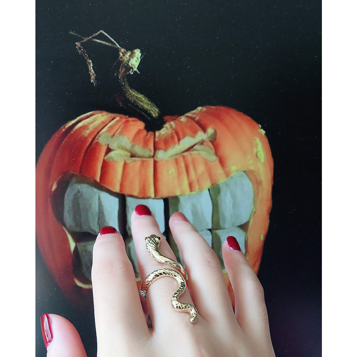 choice of all Gold Snake Jewelry for Women Snake Necklace Bracelets Rings Punk Gothic Animal Jewelry Halloween Party Costume Accessories