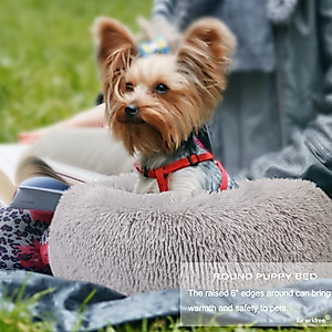 Extra Small Dog Bed Cute Grey Dog Bed Washable 19 inches Donut Fluffy Small Pet Beds,Calming Anti Anxiety Round Fits up to 10 lbs Soft Warm Pets Beds for Puppy Dogs Indoor