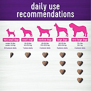 Wellness Salmon Flavored Soft Chew Immune & Allergy Supplements for Dogs, 90 Count