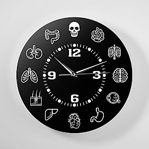 The Geeky Days Human Body Internal Organs Anatomy Wall Clock Anatomical Medical Wall Art Silent Sweep Wall Watch Doctors Biology Student Gift
