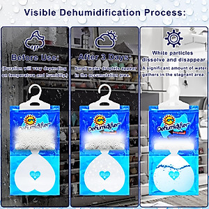 Argendon Hanging Dehumidifier Bags, Efficient Dehumidifier Bags for Shoe Cabinet, Space-Saving Hanging Design, Simple to Use, 2 Pack