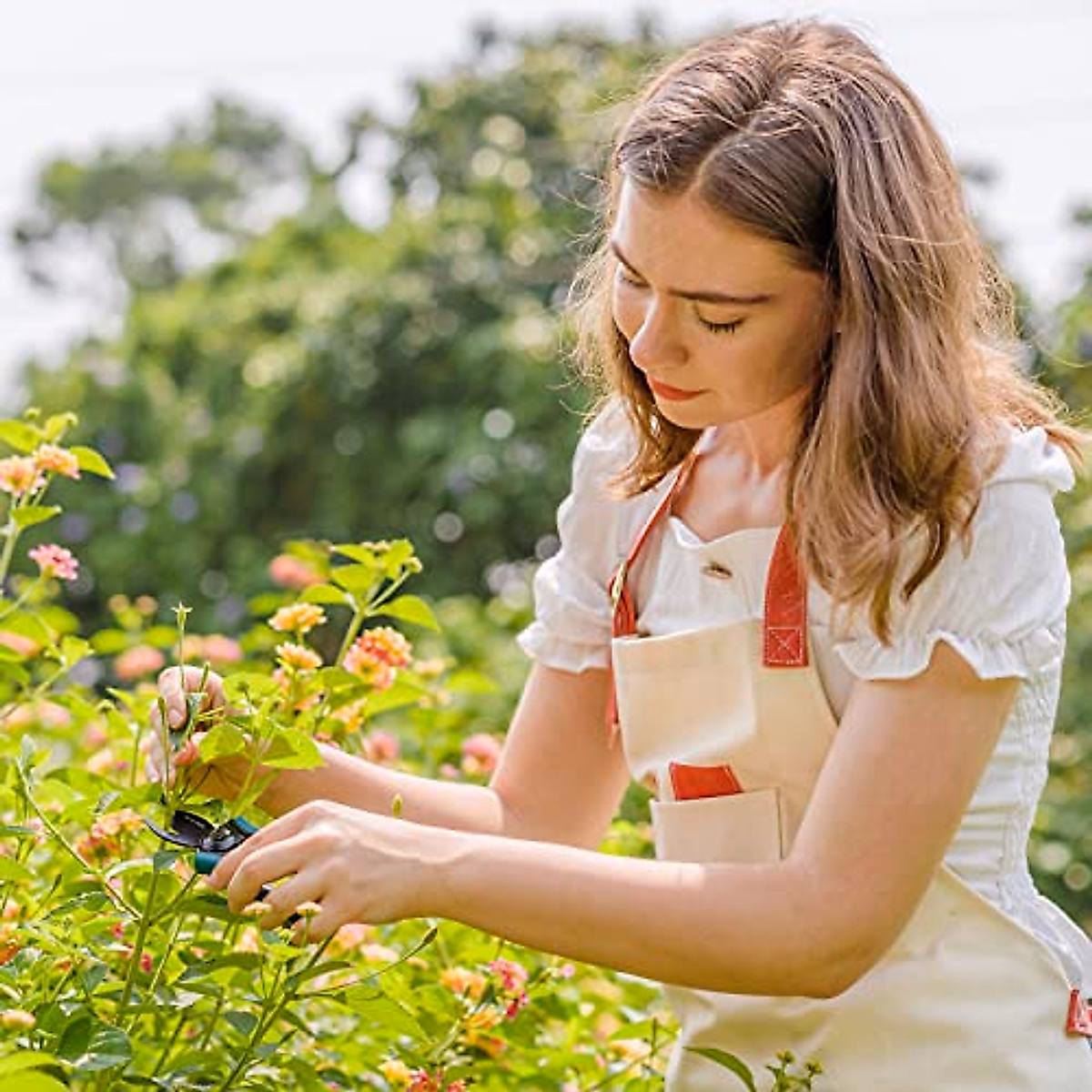 Berry&Bird Garden Clippers, Pruning Scissors with Stainless Steel Teflon Coating Blades and Handle, Plant Clippers Work 3 Times Easier with Spring, Garden Shears for Trimming Rose, Small Stem, Bonsai