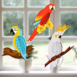 TUPARKA 6 Pieces Tropical Birds Honeycomb Parrot Hawaiian Summer Beach Tiki Bar Luau Party Home Classroom Hanging Decorations(Parrot)