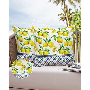 Throw Pillows for Couch Pack of 2 Waterproof Throw Pillow Covers 16x16 Inch, Outdoor Pillows Cushion Case for Bed Sofa Outdoor Furniture, Summer Lemon Texture Decorative Pillows Cover
