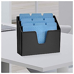 Acrimet Horizontal Triple File Folder Holder Organizer (Black Color)