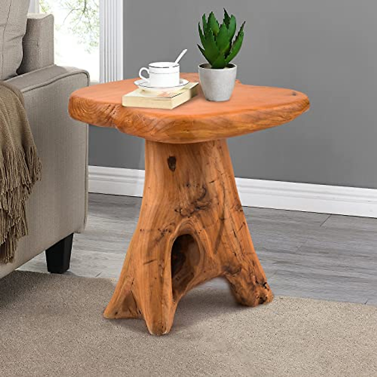 HOEGMST Small Side Table, Unique Design Live Edge Wood Stool, Freeform Natural Plant Stand for Garden, Yard, Living Room, Bedroom