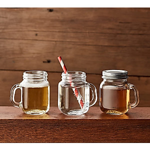 Hayley Cherie 2.5 oz Glass Mason Jars with Handles and Metal Lids, 10 pack, Air-tight, Small Favor Mugs with Chalkboard Labels for Drinks, Shots, Candy, Parties, Weddings, Gifts
