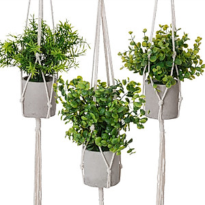 mizii 3 Pack Mini Potted Artificial Plants w/ 3 Plant Hangers,Eucalyptus Rosemary Fake Leaves Green for Indoor Home Room Shelf Kitchen Balcony Garden Wedding Decor