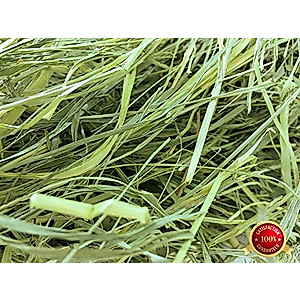 Rabbit Hole Hay Ultra Premium, Hand Packed Medium Timothy Hay for Your Small Pet Rabbit, Chinchilla, or Guinea Pig (20lb)