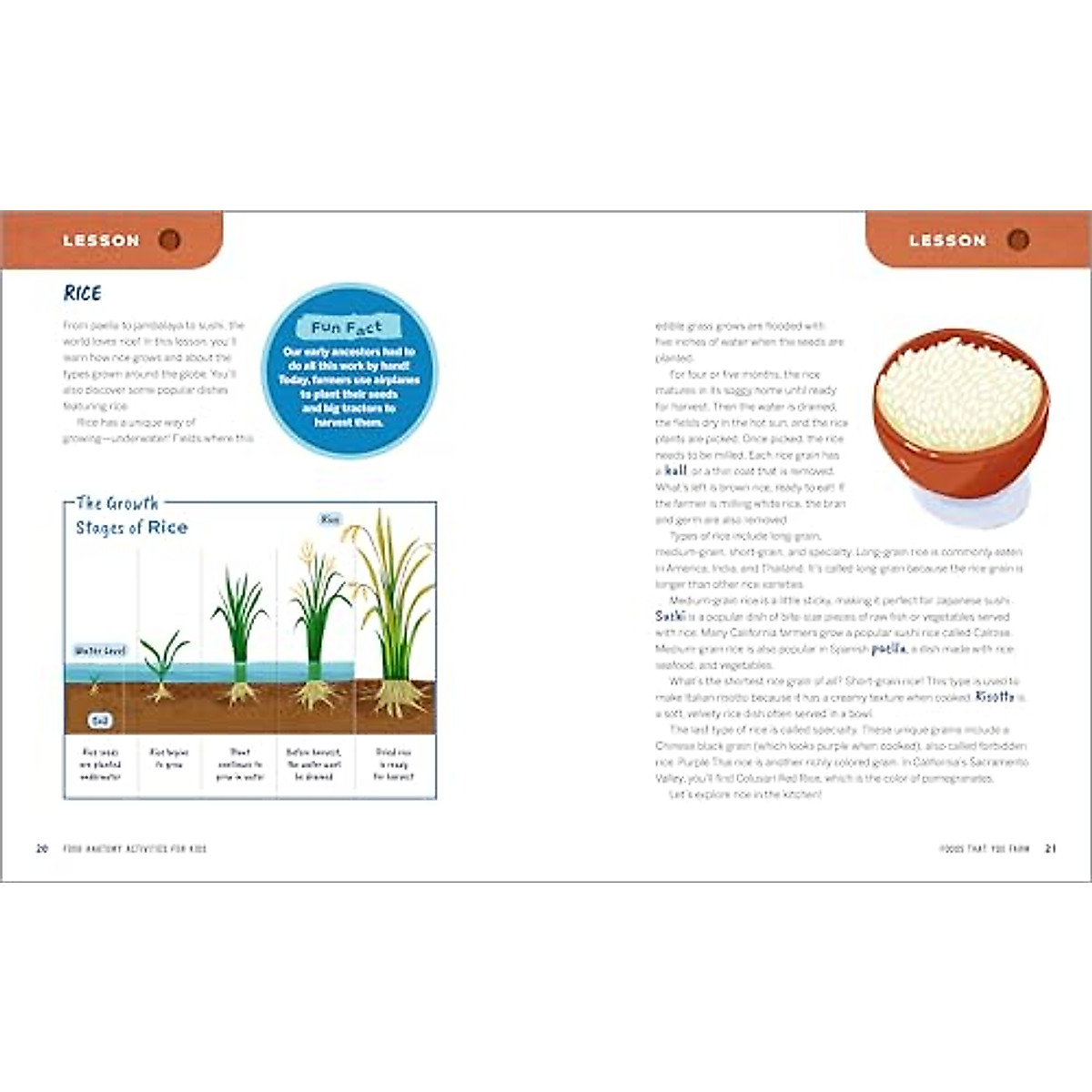 Food Anatomy Activities for Kids: Fun, Hands-On Learning