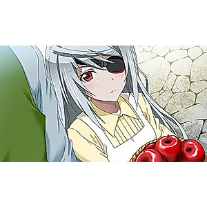 Infinite Stratos 2: Love And Purge - Limited Edition [PS Vita]