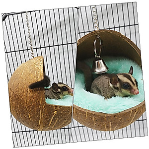 balacoo 3pcs cuttlebone Hanging Hideaway Swing Bird Playground Parrots hut habitats Parakeet Hamster Winter pet Wooden Bird House Lifelike Bird Bed Coconut Shell Bed House The Bird's nest