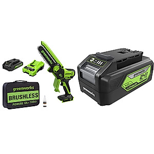 Greenworks 24V 6" TruBrushless™ Pruning Saw/Mini Chainsaw & 24V 4.0Ah Lithium-Ion Battery (Genuine Battery)